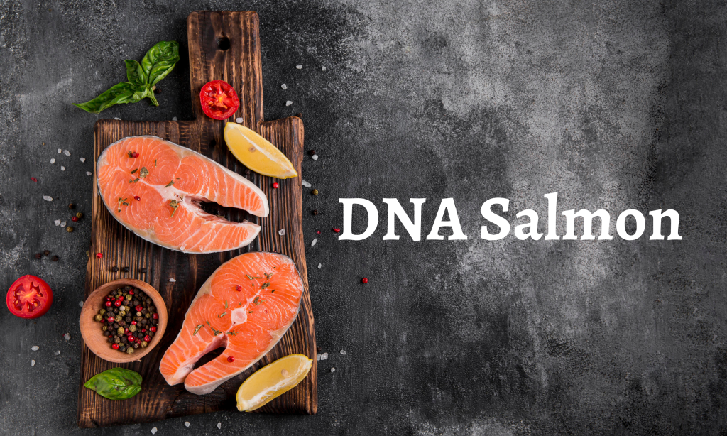 Meningkatkan Kesehatan Jantung dengan Asam Lemak Omega-3 yang Terdapat ...